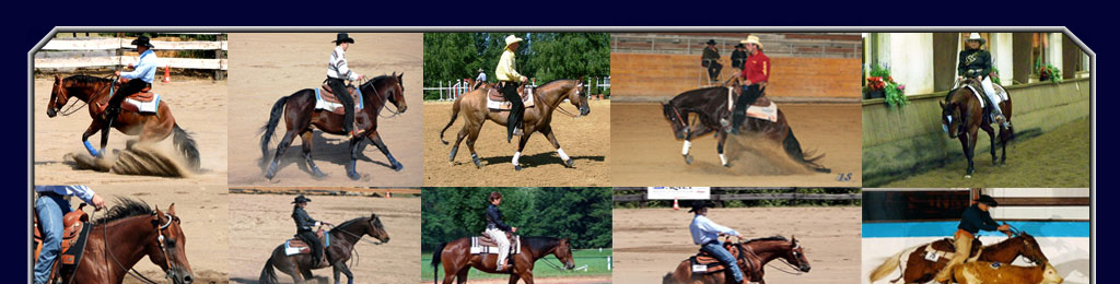 Handsome Ranch Quarter Horses Zucht & Verkauf von Westernpferden ...